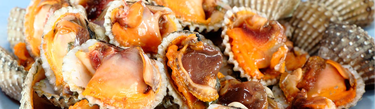 Eating in Camariñas - Fascinating Spain
