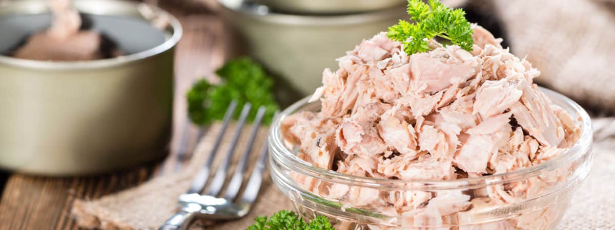 Appealing recipes with a simple can of tuna