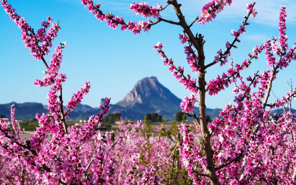 5 thrilling trips to live Spain in February