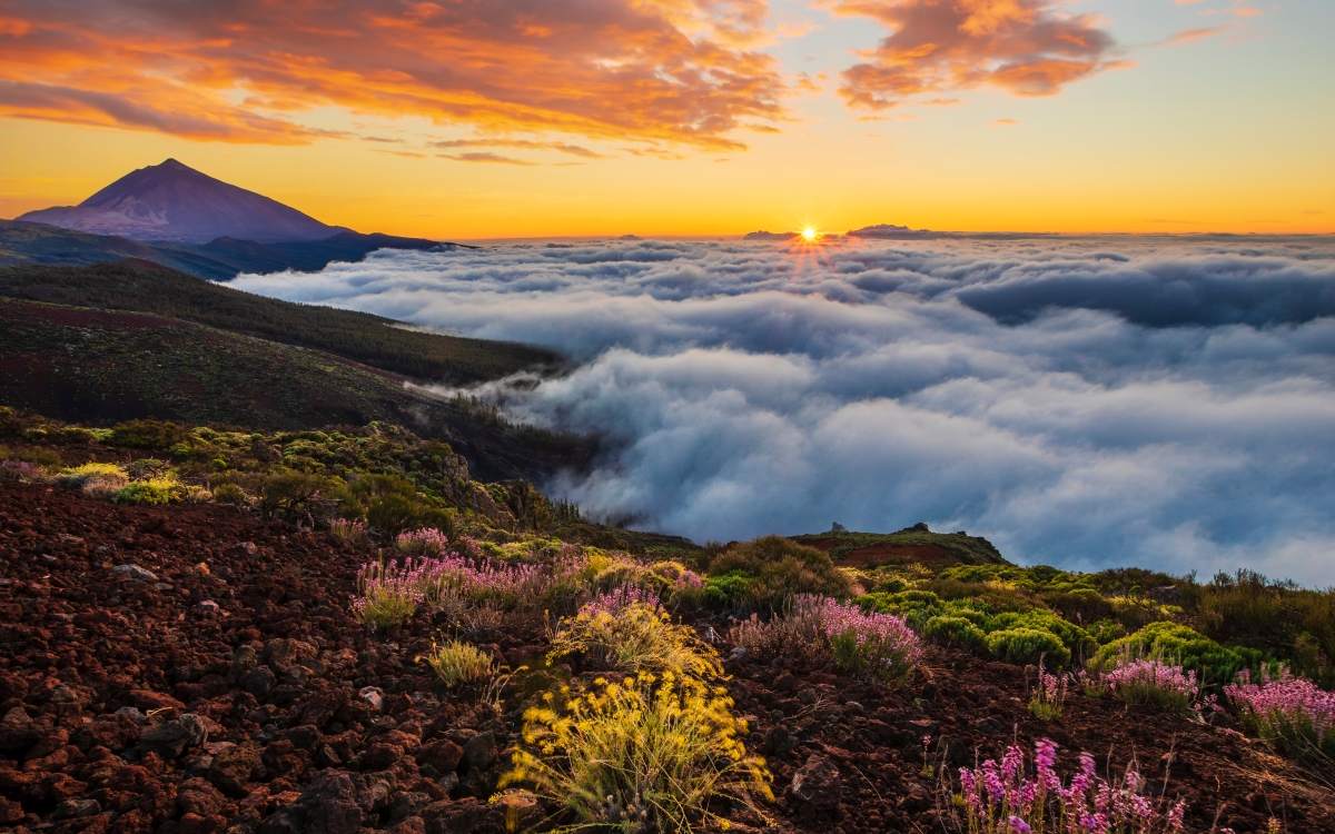 The most beautiful natural parks in Spain